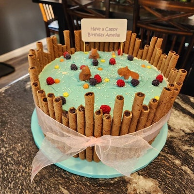 Capypooper Capybara Toothpaste Topper Capybara Toothpaste Cap ...