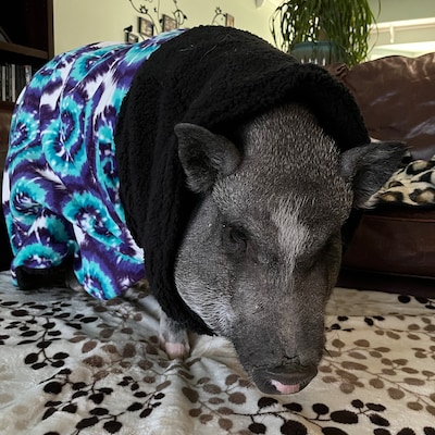 Ultimate Warm Fleece and Sherpa Blanket Sweater Mini Pig - Etsy Canada
