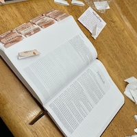 Aladdin Color Palette Procreate Color Palette Digital Color Palette ...