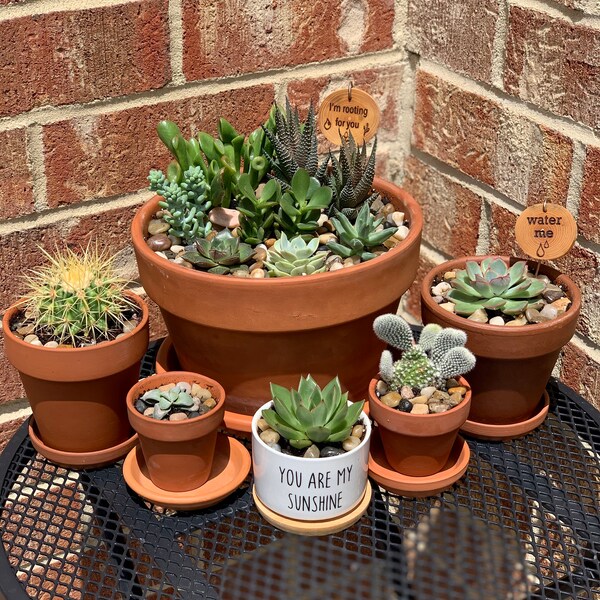 Haunted Forest Potion Kit: Sensory Magic for Kids - Etsy