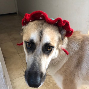 Puffy Crochet Bucket Hats mushroom Frog Bumblebee - Etsy