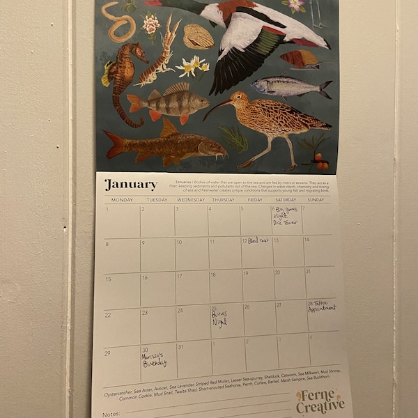 Recycled British Wildlife Habitats Calendar 2026 | Illustrated Daily ...