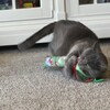 Large Cat Kicker Toy With Ribbons. 12 to 13 Long. Quality Catnip Silver ...