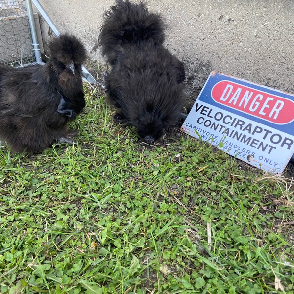 3D Printed Chicken Arms Velociraptor T-rex Dinosaur Arms - Various ...