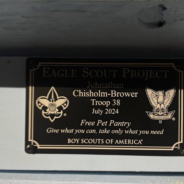 BSA Licensed AOL Den Leader Cub Scouts Plaque With Rank Insignia and ...