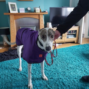 Tweed Greyhound Whippet Ginger Ted Tweed Greyhound Whippet | Etsy UK