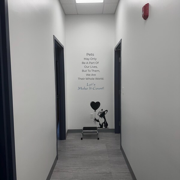 Wall Quotes Vinyl Decal, Wake up Kick Ass Be Kind Repeat, Morning ...