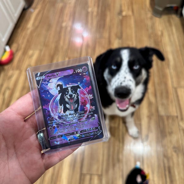 Pokemon Custom Card, Pokemon Graduation Card, Pokemon Holographic Card ...