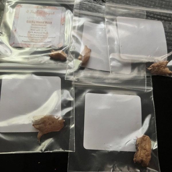 100% AUTHENTIC | Lucky Hand Root | Sahlep Root | Orchis Mascula | RARE ...