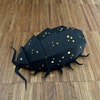 DIY Papercraft Isopod,bug Svg,papercraft Bug,papercraft Insect,low Poly ...