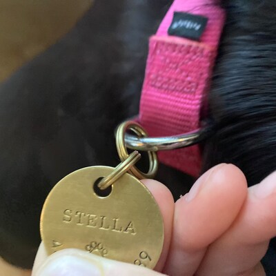 Dog Tag Canada / Dog Tag / Custom Tag/ Dog Collar Personalize / Metal ...