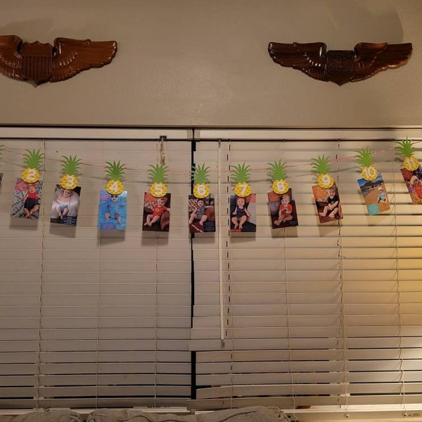 Pineapple Photo Banner PINK- Pineapple Birthday Decorations- Pineapple ...