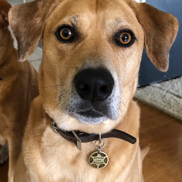 Personalized Dog ID Tag - Sheriff Badge - Star - Brass - Handmade - Dog ...