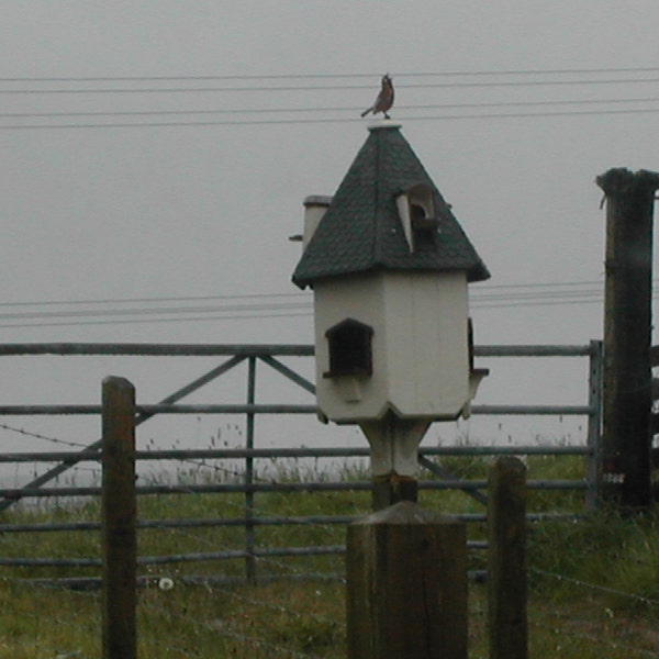 Rustic Bird Post Topper/ Rusty Metal Bird Garden Gift / Bird Fence ...