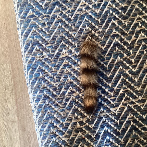 Springbok Pelt Natural Color Genuine Deer Fur Blesbok Antelope Pelt ...