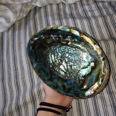 Large Abalone Shell, Colorful Abalone Shell, Natures Painting in a ...