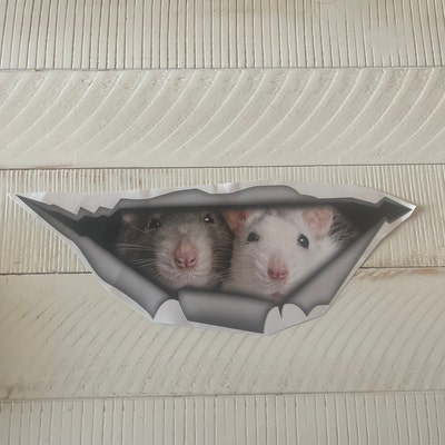 Rats Decal Funny Sticker Rats Car Sticker Rat Sticker Pet - Etsy
