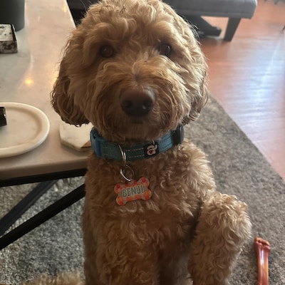 Retro Smiley Dog Tag Retro Dog Tag Pet Tag Custom Dog Tag Personalized ...