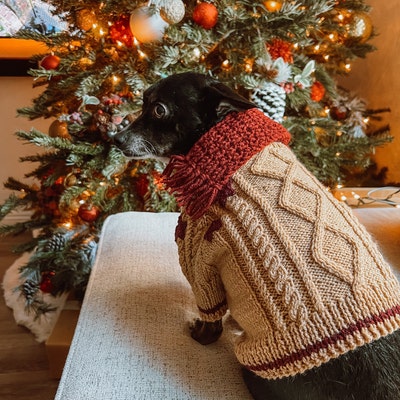 Personalized Dog Sweater With Embroidered Dog Name - Etsy
