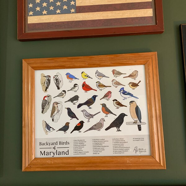 Oregon - Printable Backyard Birds of Oregon Field Guide Print ...