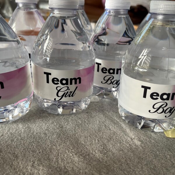 Graduation Fan Template, Grad Paddle Fan Template, Custom Grad Fan ...