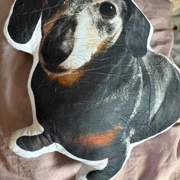Photo Customization DIY Dog Cushion Pet Plush Toys Dolls Stuffed Animal ...