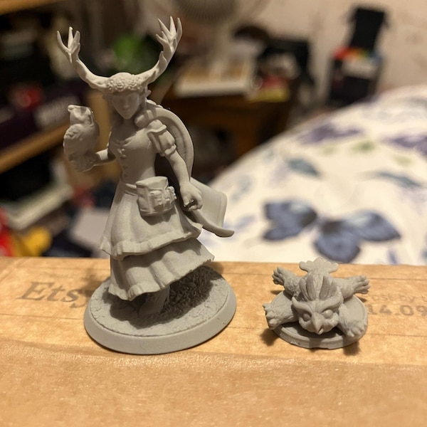 Owlin Owlrakokra Owlfolk Aarakokra Druid I Wizard I Sorcerer Tabletop ...