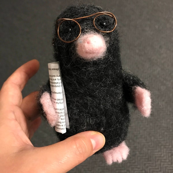 Mr Mole Needle Felting Craft Kit - Etsy