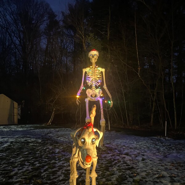12ft Skeleton Skelly for Prez (skeleton NOT Included) - Etsy