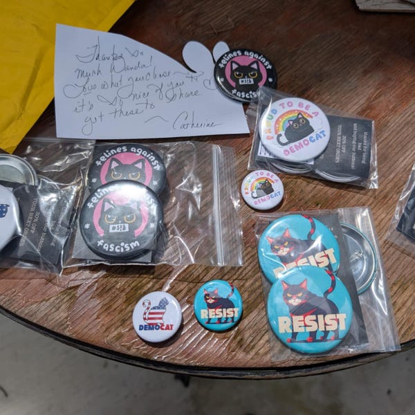 We Are the Resistance Button or Magnet, Resist, Protest Button, Protest ...