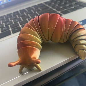 Jumbo Rainbow Slug Fidget Toy Collectors Articulating - Etsy