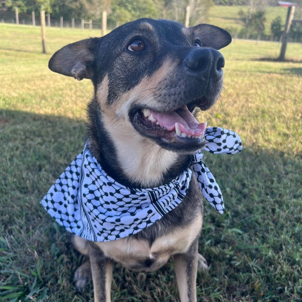 Black Palestine Keffiye Heart Embroidered Patch to Iron on or Sew on ...