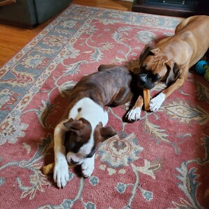 2 Pack of Aloha Crunch Bites. Churpi Yak Himalayan Puffs | Etsy