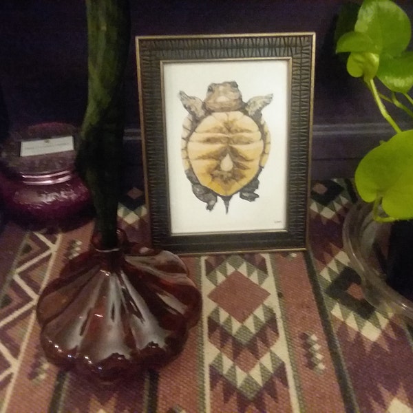 Hatchling Box Turtle Illustration Art Print, Watercolor Painting ...