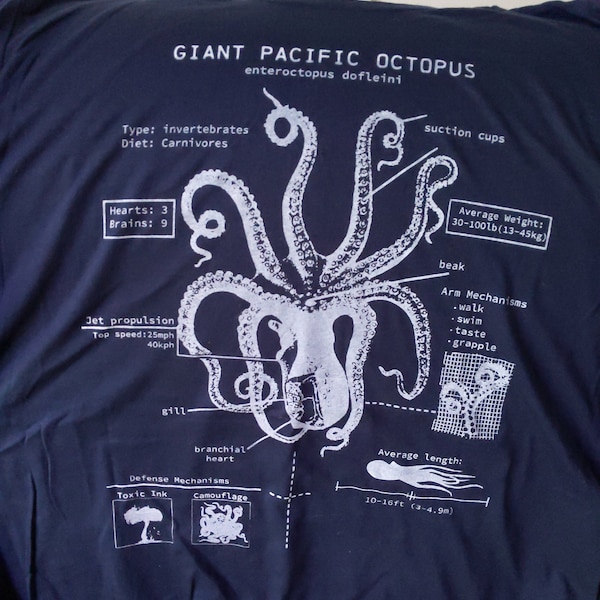 Octopus Anatomy T-shirt, Beach Tee, Octopus Shirt, Octopus Gifts ...