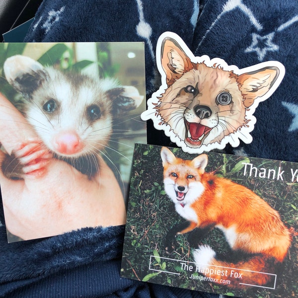 Button Eyed Fig the Fox Weather Proof Sticker - Etsy