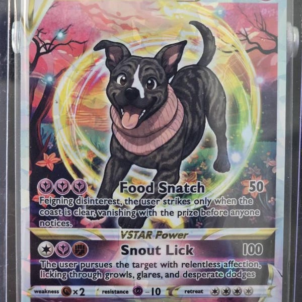 Custom Pokemon Card, Pet as Pokemon , Pokemon Card, Turn Your Pet Into ...