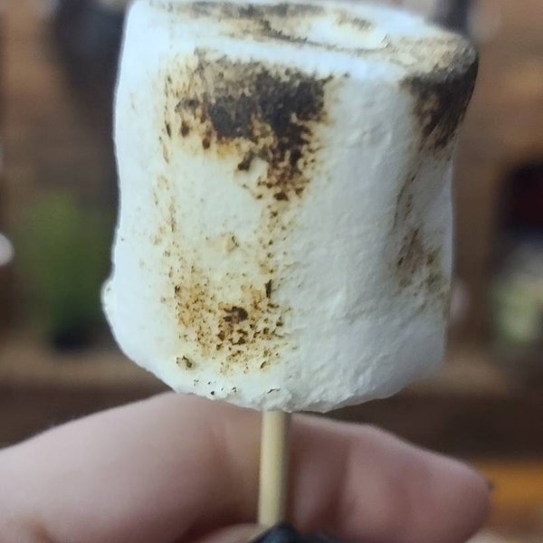 Faux Marshmallows, Fake Roasted Marshmallows on a Stick, Fake ...