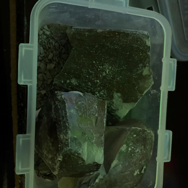 Ebevbarie/ Dried Fish/ 8 Pieces - Etsy