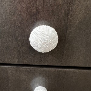 Shell Knobs Beach Knobs and Pulls Beach House White Knobs Drawer Knobs Cabinet Knobs Kitchen ...