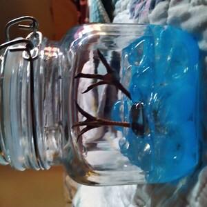 20 Real Deer Dew Claws Hooves Foot Native American Beads Art | Etsy