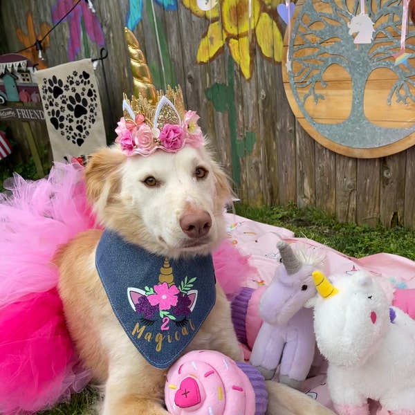 Personalized Initial Dog Unicorn Crown | Medium to Large Breed Dogs ...
