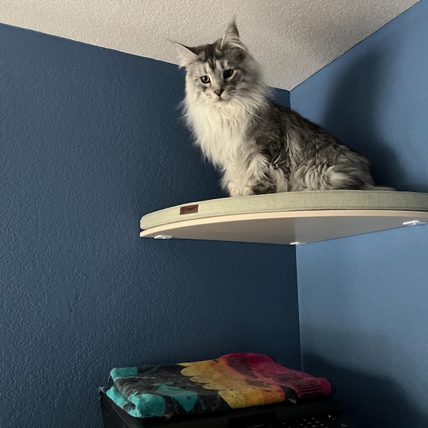 Handmade Wall Mounted Curved Cat Perch by Cosyanddozy Modern Cat Wall ...