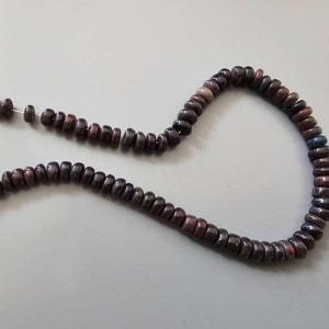 Natural Smooth Kodi White Kaudi Sea Shell Kawri Hippie Bohemian Kodi ...