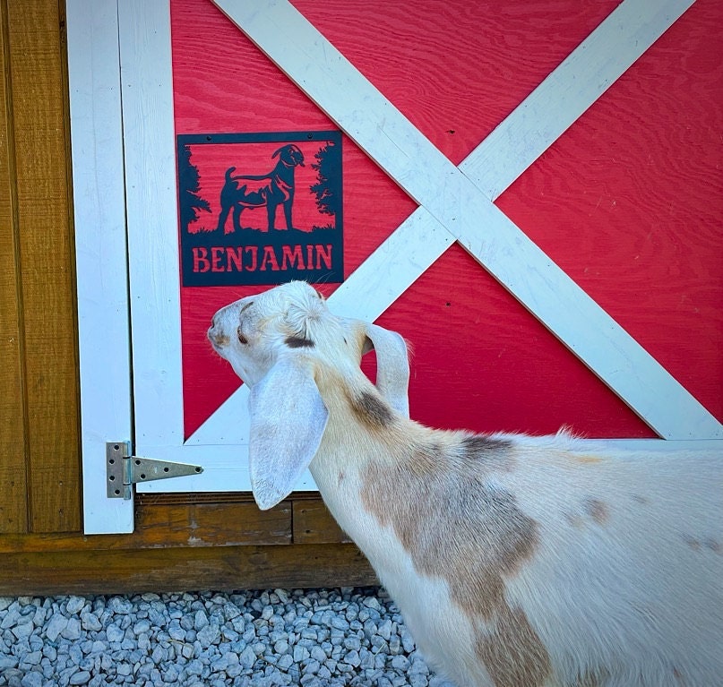 Boer Goat Farm Sign | Etsy