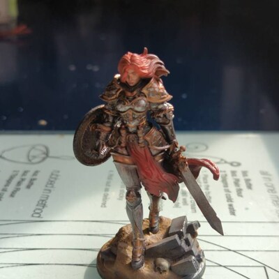 Female Elf / Drow Gladiator / Rogue 3d Printed Model by 3dartguy - Etsy UK