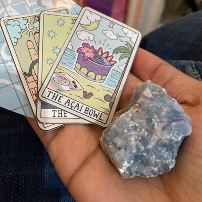 Darwin Evolution Fish Vinyl Decal Sticker DARWIN FISH Vinyl Decal Car ...