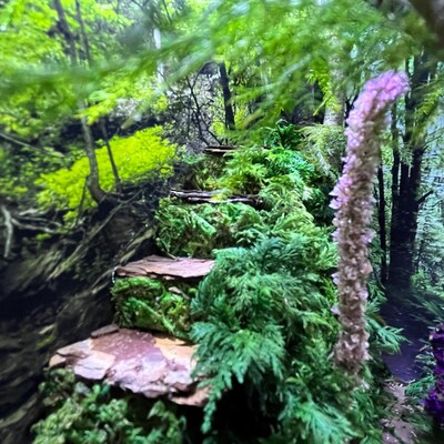 Bush Busted Farmer Mini Bush Red Autumnal Scenic Elements for ...