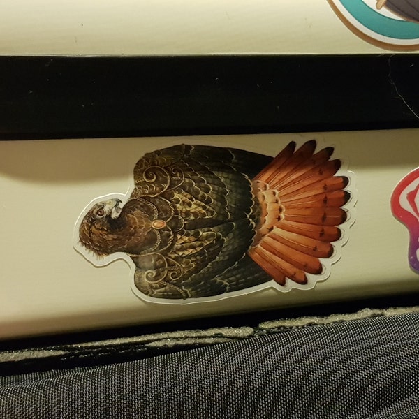 Vinyl Bird Stickers - 7 Designs to Choose From - Hawk Falcon Owl Raven ...