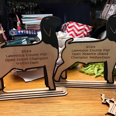 Market Barrow Hog Pig Show Award for Livestock Show Expo 4H Trophy - Etsy